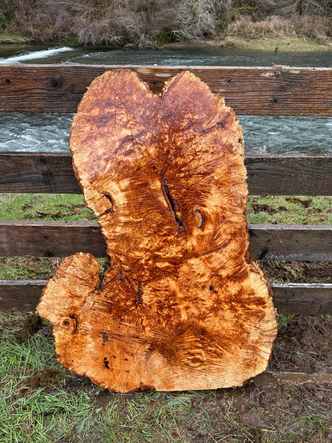 Large Figured Maple Burl Slab - 44" X 22" X 3" - Etsy