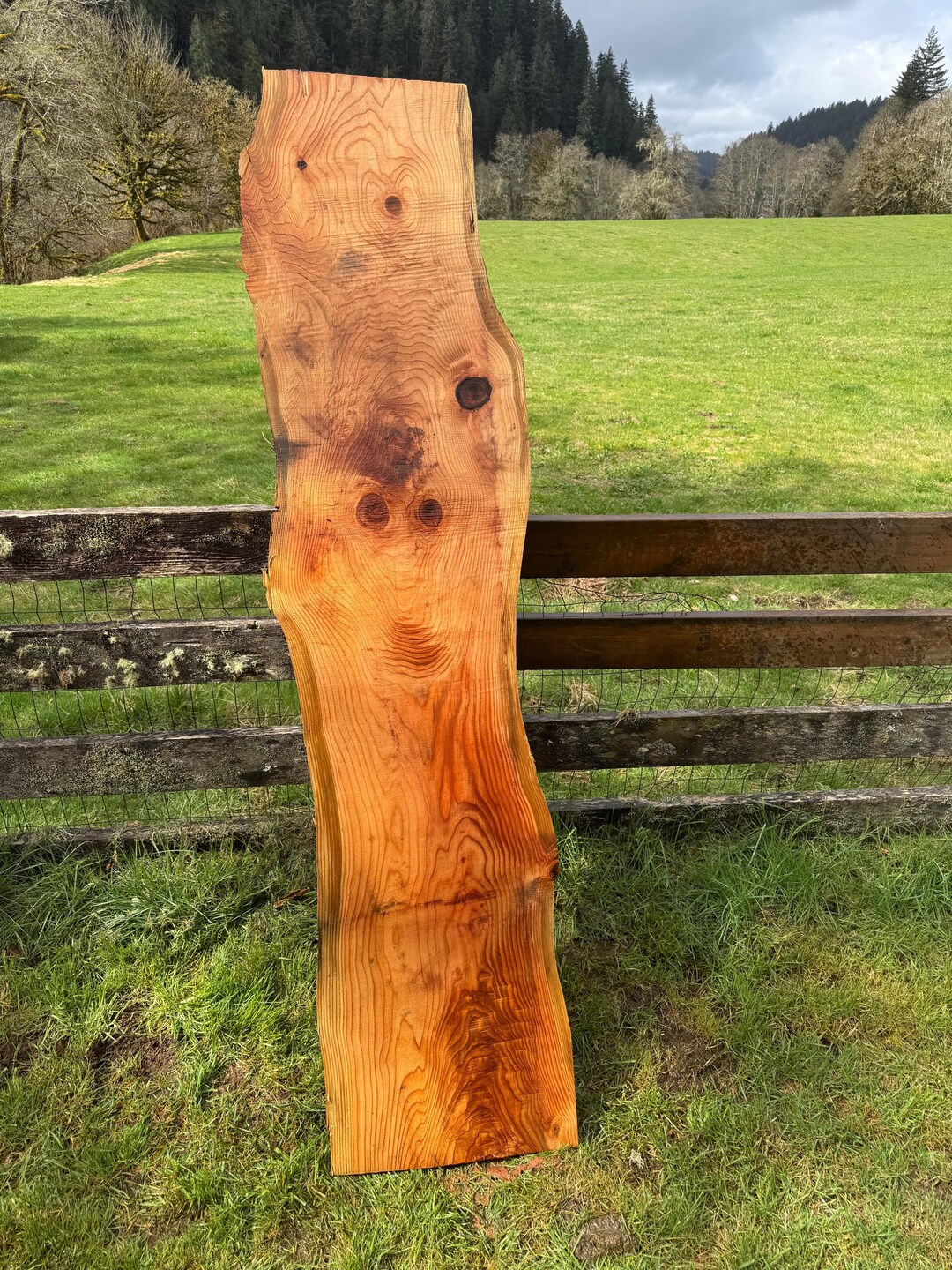 Western Red Cedar Slab- 83" X 20" X 1.5" - Live Edges - Etsy