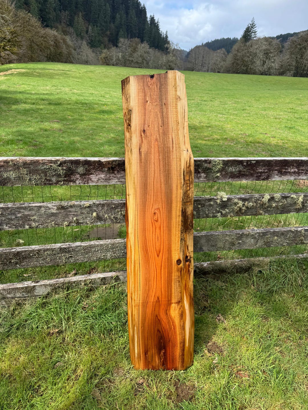 Western Red Cedar Slab- 63" X 15" X 2" - Live Edges - Etsy
