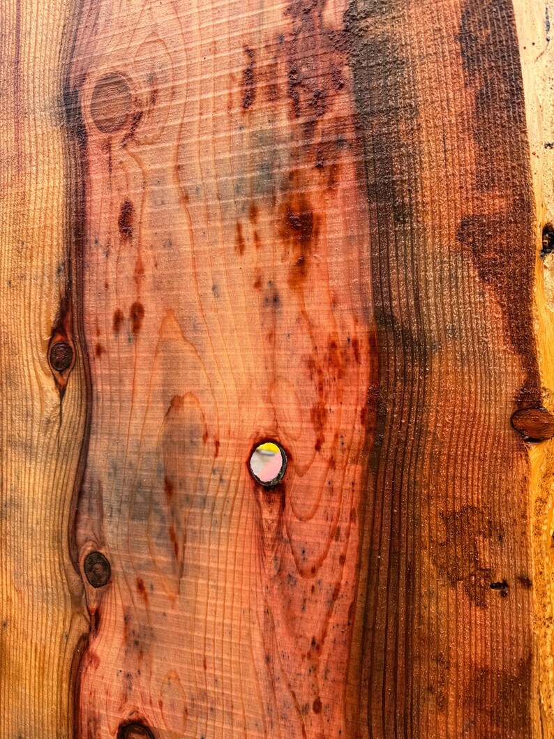 Giant Sequoia Redwood Slab - 97" X 26" X 3" - Live Edges - Etsy