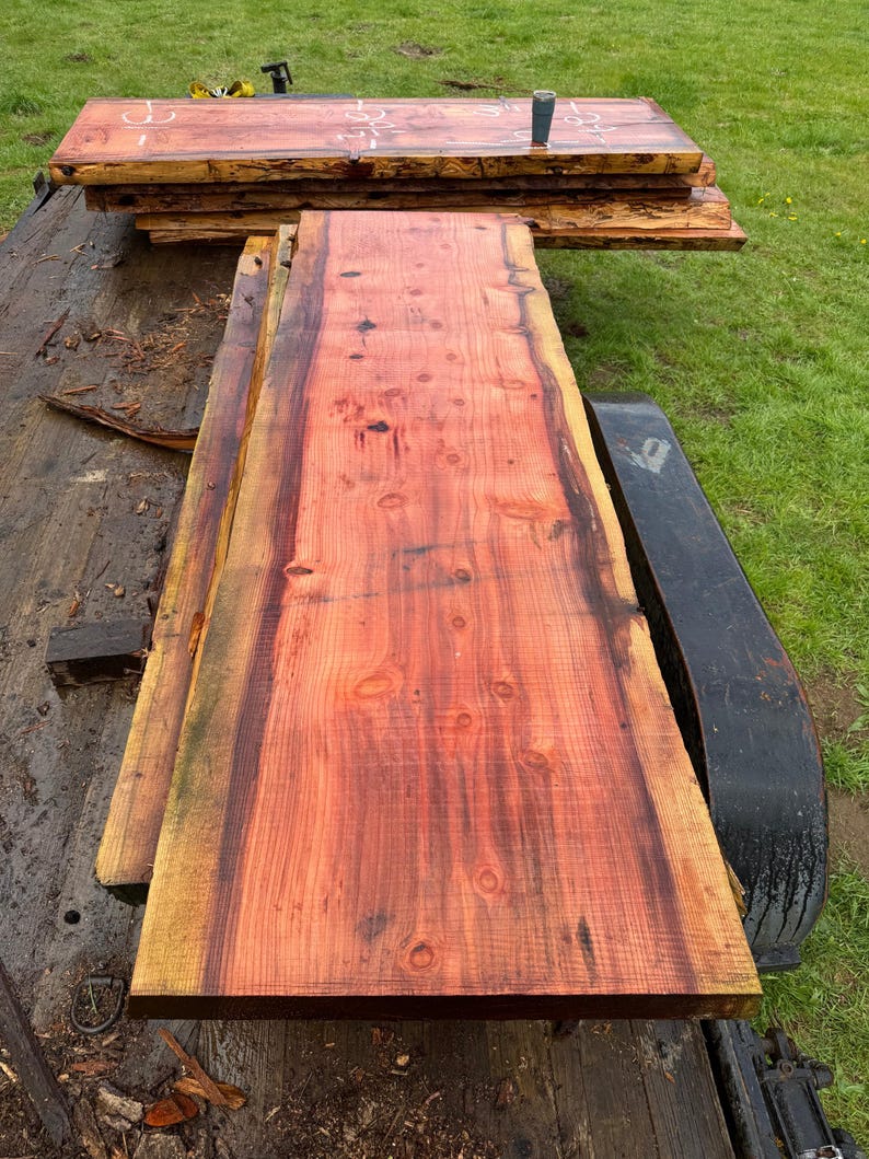 Giant Sequoia Redwood Slab - 97" X 30.5" X 3" - Live Edges - Etsy