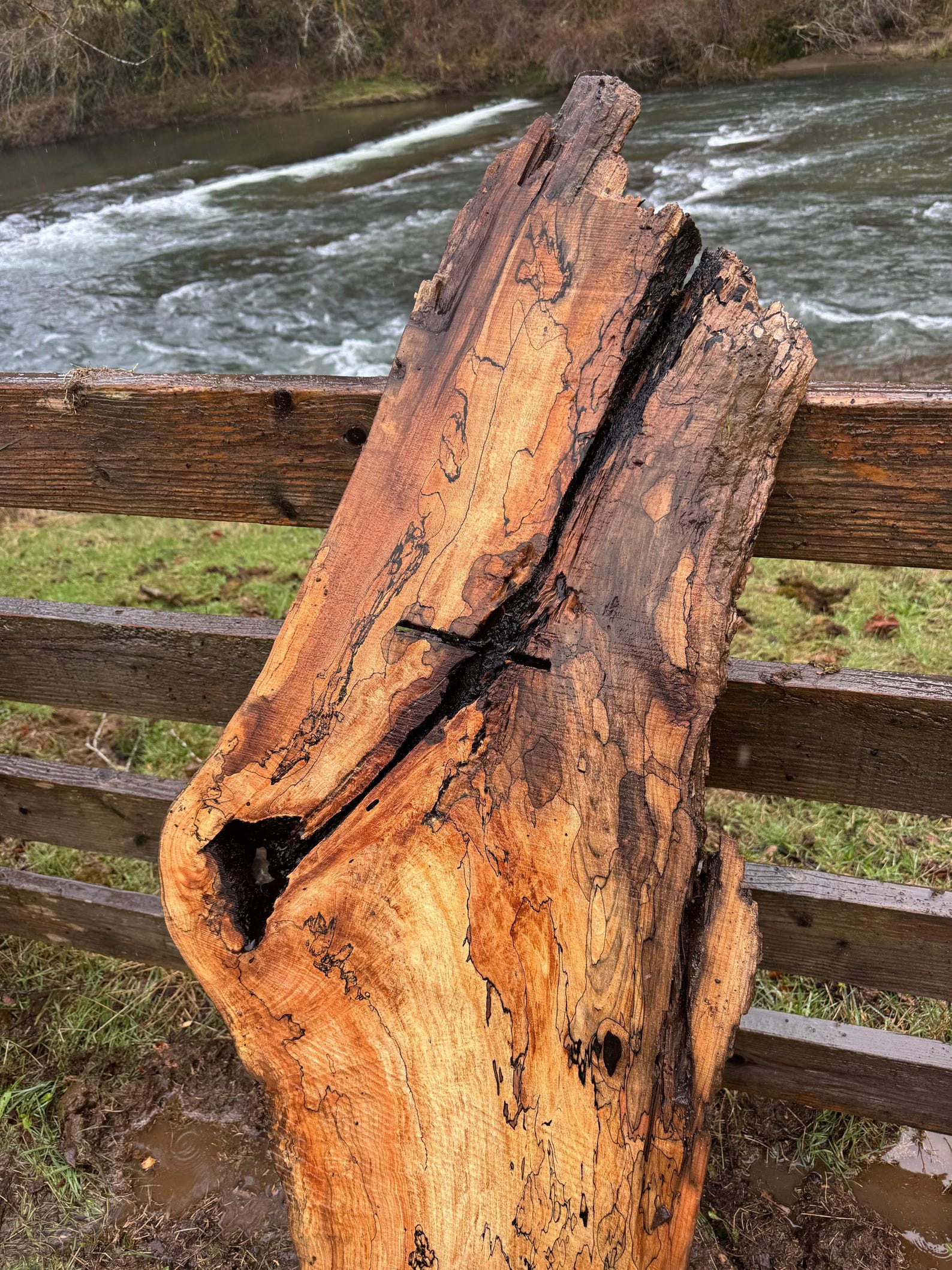 Live Edge Spalted Maple Slab – 58"x21"x2" - Etsy