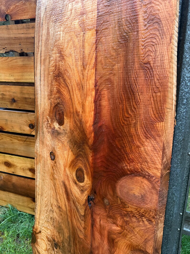 Western Red Cedar Slab- 134" X 23" X 2" - Live Edges - Etsy