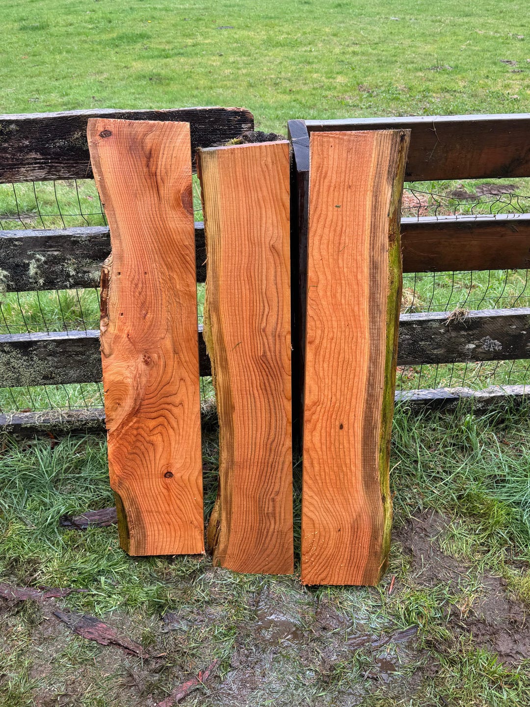 Western Red Cedar - 42" X 9" X 2" - Live Edge - Etsy