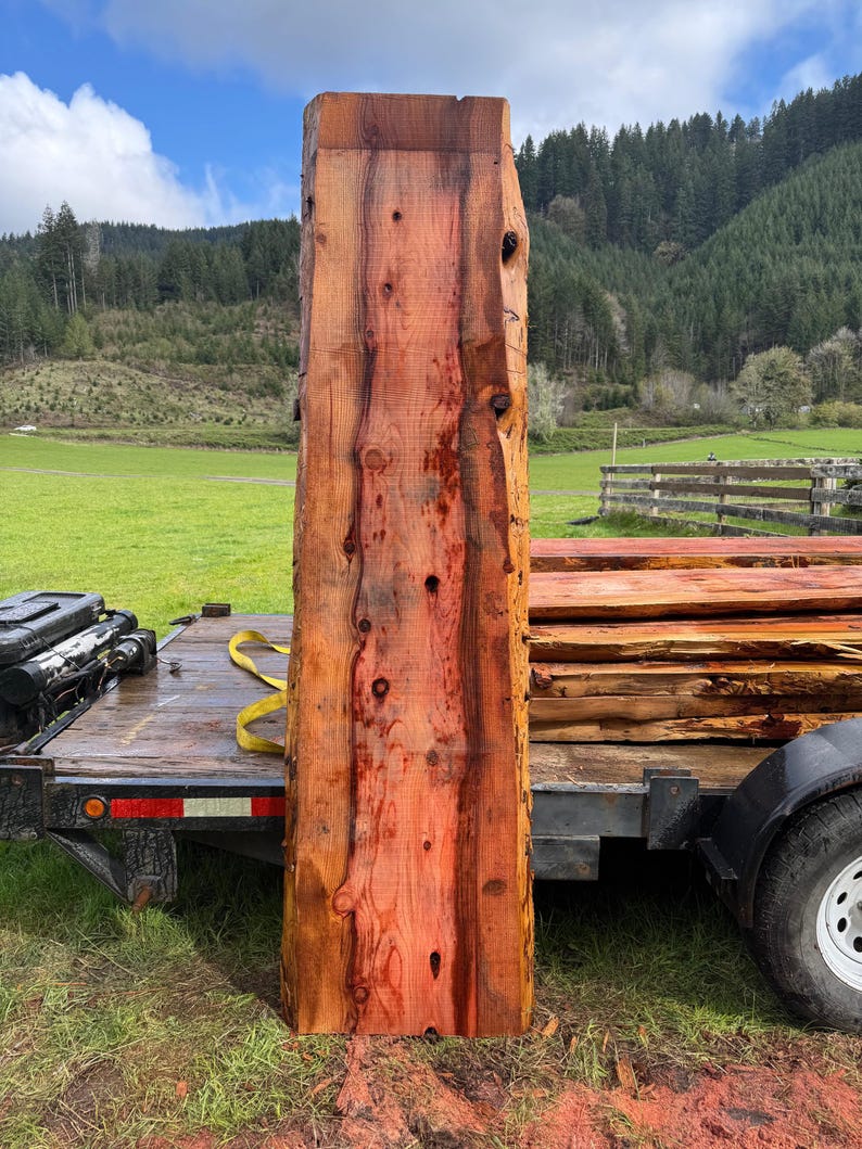 Giant Sequoia Redwood Slab - 97" X 26" X 3" - Live Edges - Etsy
