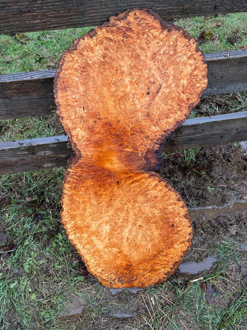 Large Figured Maple Burl Slab - 34" X 16" X 2" - Etsy