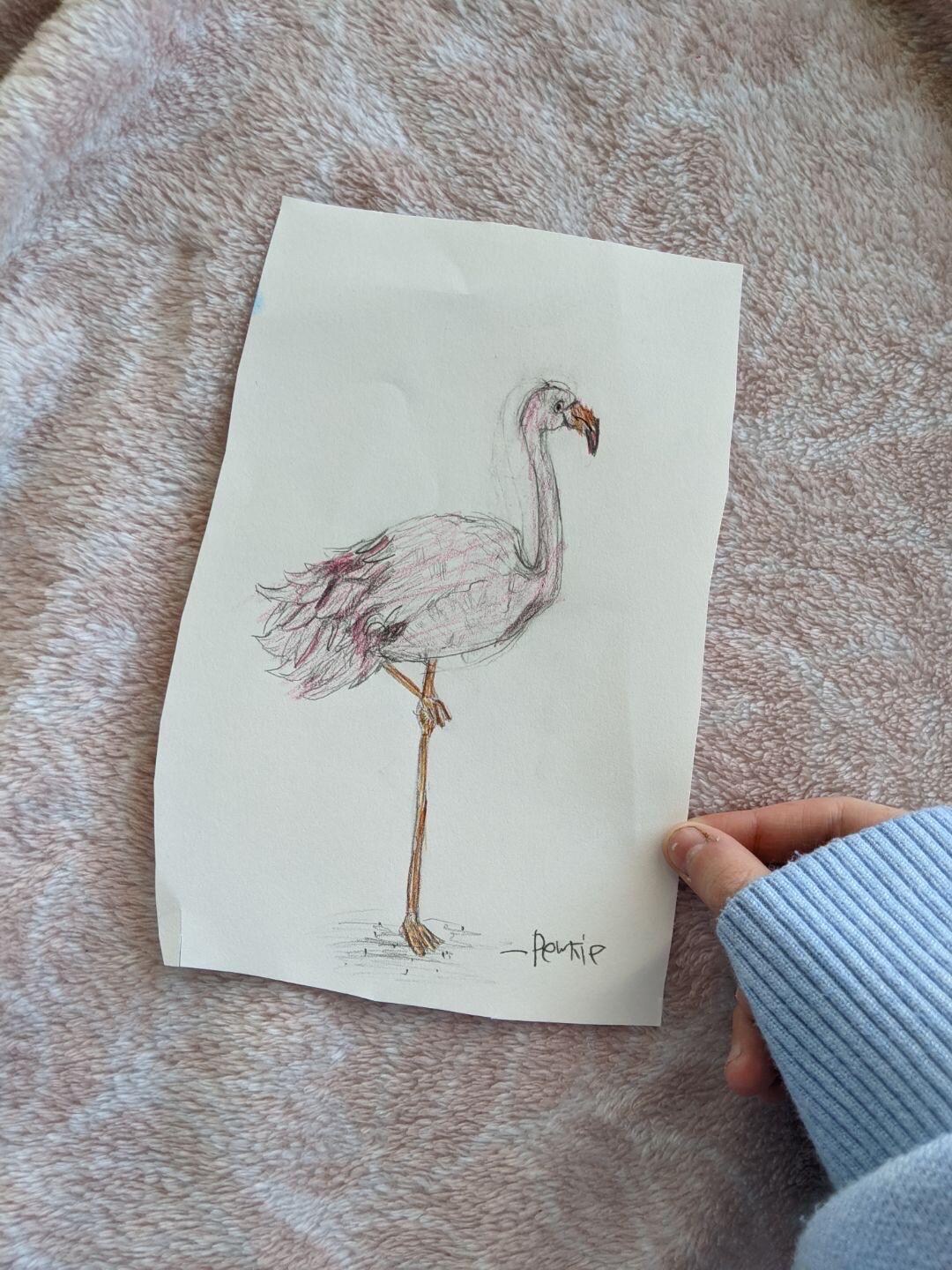 Pink Flamingo Drawing - Etsy