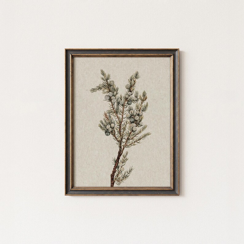 PRINTABLE Vintage Botanical Christmas Wall Art | Antique Juniper Branch ...