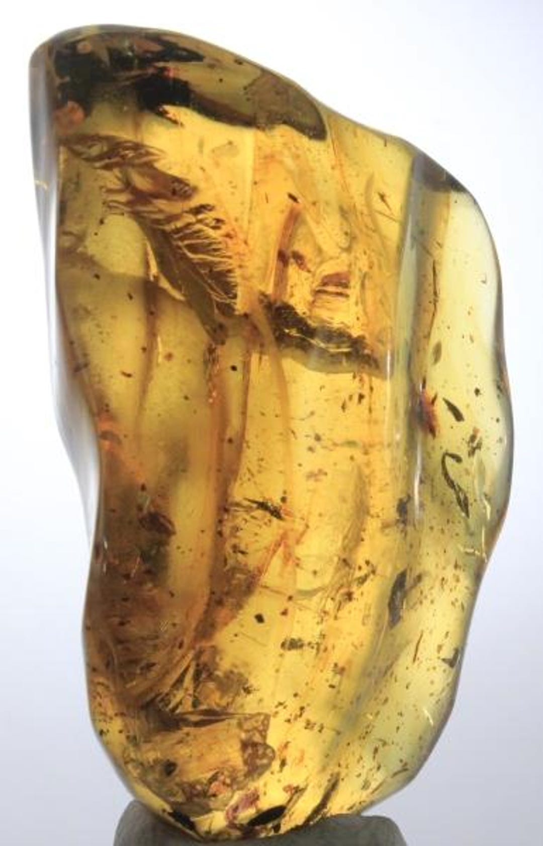 GREAT Piece!! Mexican Amber Specimen 57g - Etsy