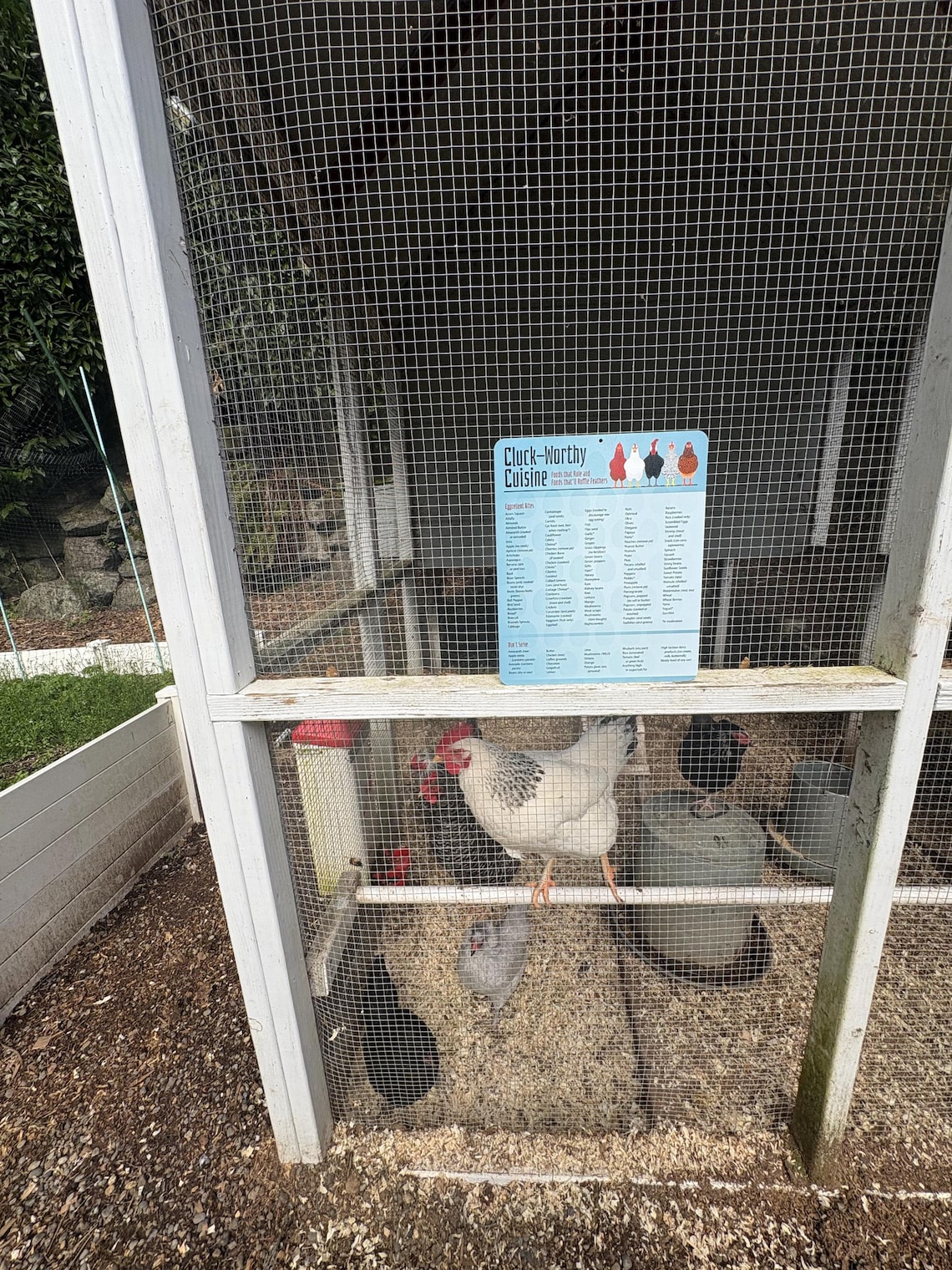 Chicken Food Sign: Safe & Unsafe Foods, Aluminum Coop Decor (10x12) - Etsy