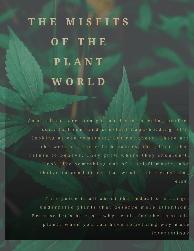 Weird Nerd and Rebel Plants Guide, Unusual Plants, Digital Gardening ...