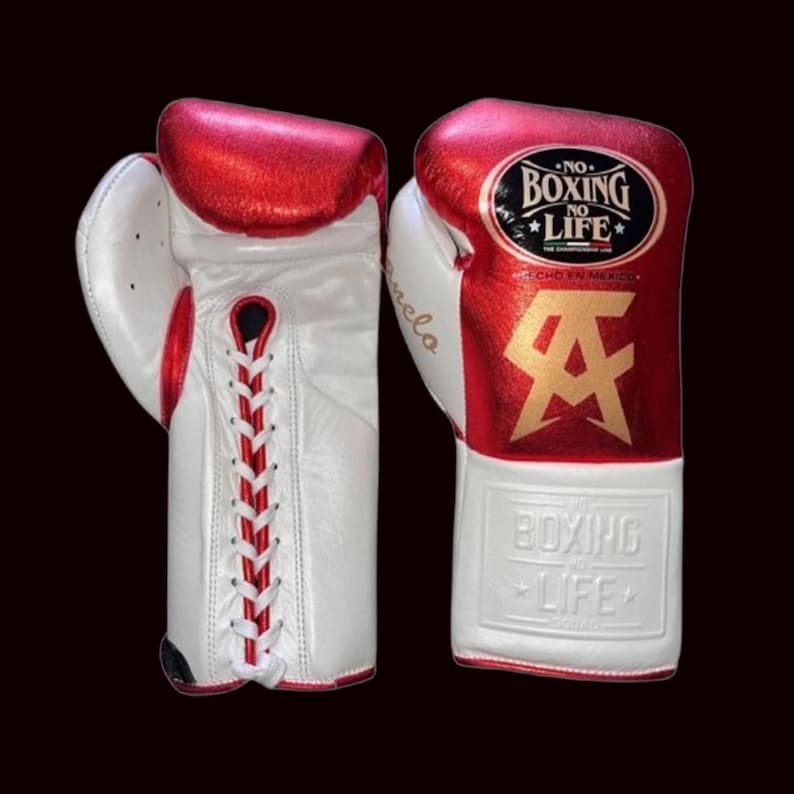 Canelo No Boxing No Life Boxing Gloves, Customized Boxing Gloves ...