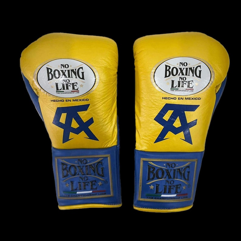 Canelo No Boxing No Life Boxing Gloves, Customized Boxing Gloves ...