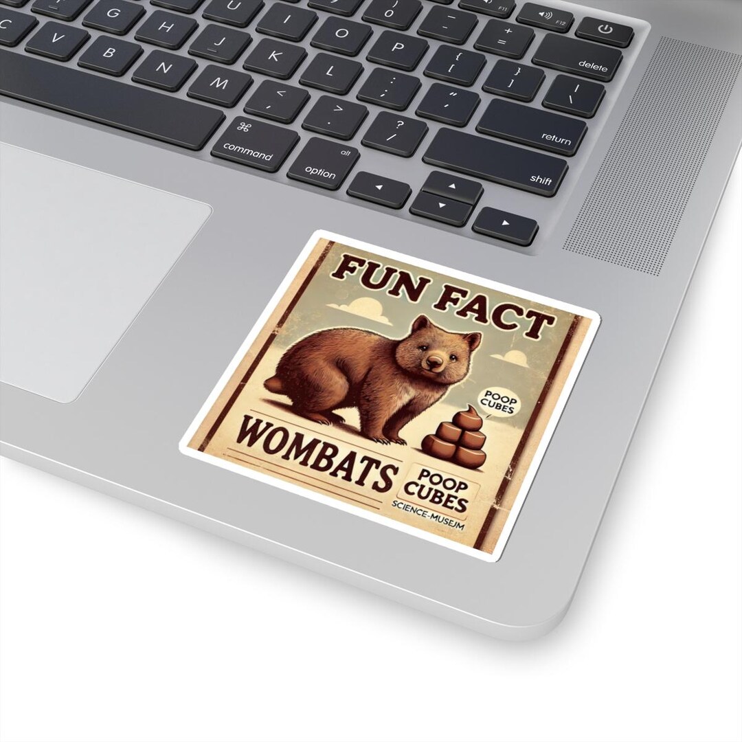 Wombat Fun Fact Kiss-cut Stickers | Cute Animal Decor for Laptop ...