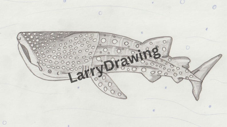 Whale Shark Pencil Drawing – Hand-drawn Marine Animal Art Print ...