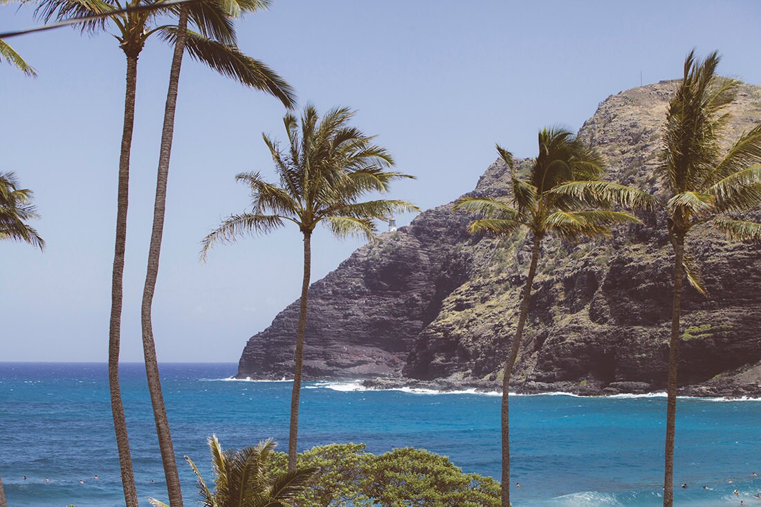 Palm Trees Print, Ocean Wall Art, Beach Photography, Surf Decor ...