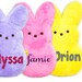 Personalized Easter Peeps | Easter Basket Stuffers | Mini Peep Plush ...