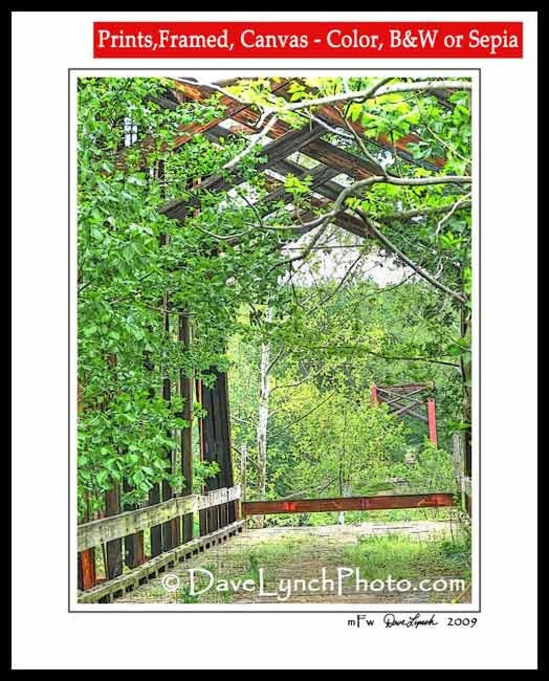 Cartersville VA Virginia Old Cartersville Bridge Map Skyline James ...