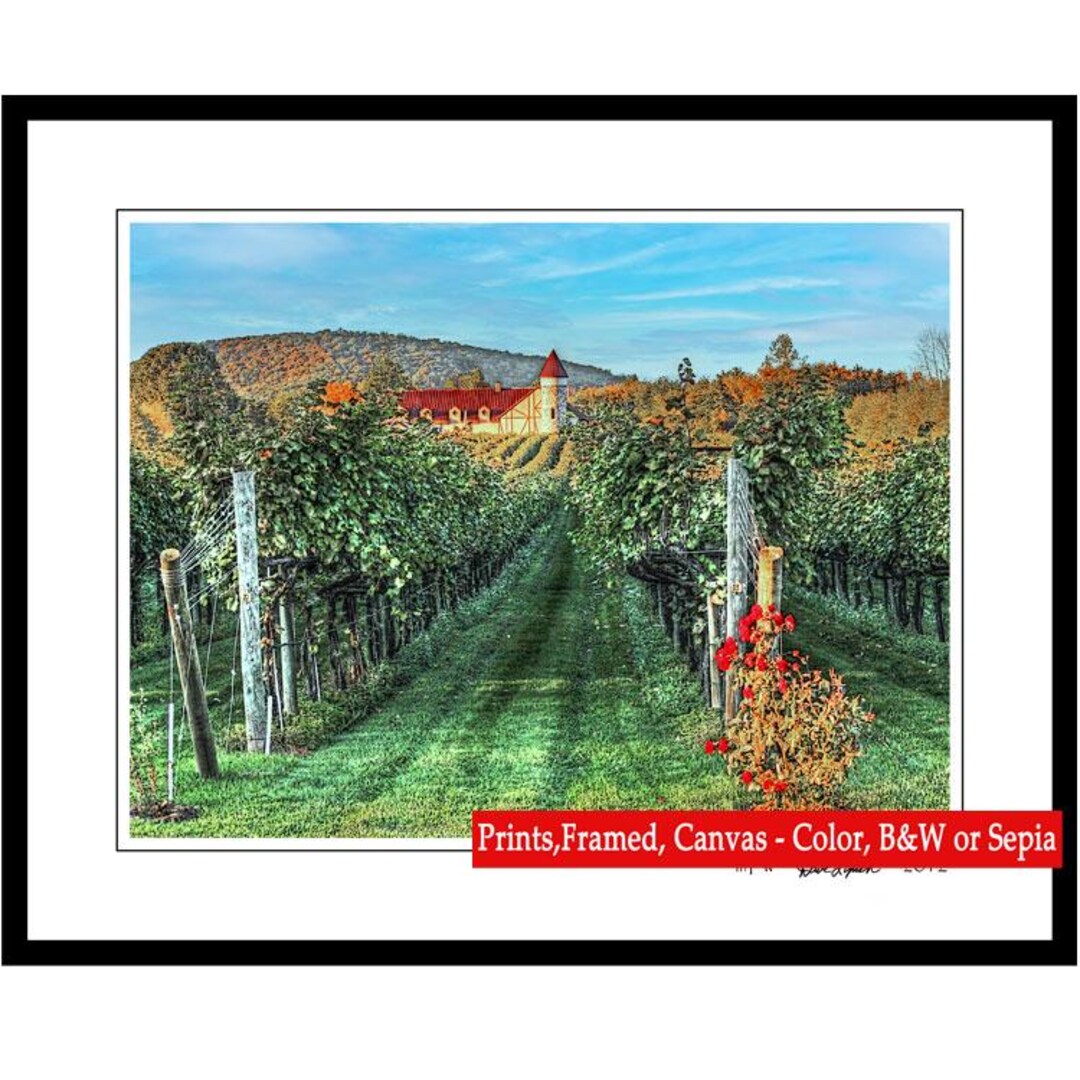 Gordonsville VA Virginia HORTON CELLARS Winery Vineyard Print Canvas ...