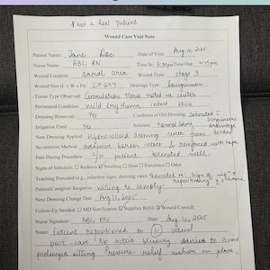 Home Health Nurse Documentation Template, Editable Printable SNF Notes ...