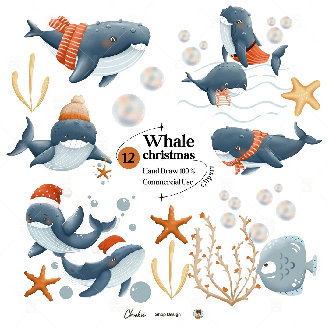 Whale Christmas Clipart,hand Drawn Nautical Xmas Graphics(digital ...