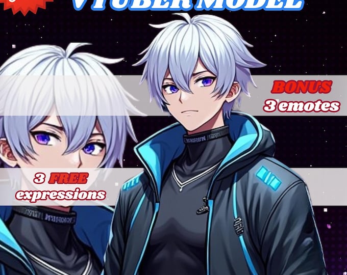 Modello Vtuber PERSONALIZZATO per Live2d, Design Del Personaggio Anime ...