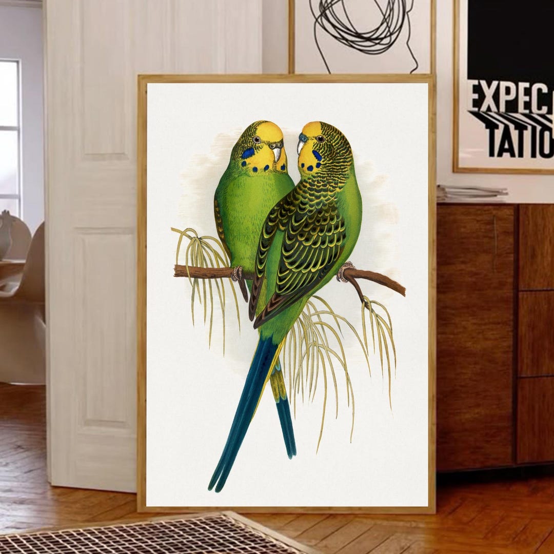 Vintage Budgie Artwork Poster, Matte Vertical Wall Art, Animal Print ...