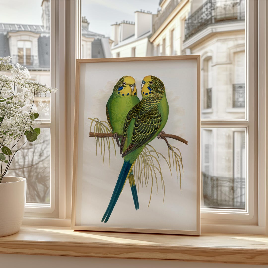 Vintage Budgie Artwork Poster, Matte Vertical Wall Art, Animal Print ...