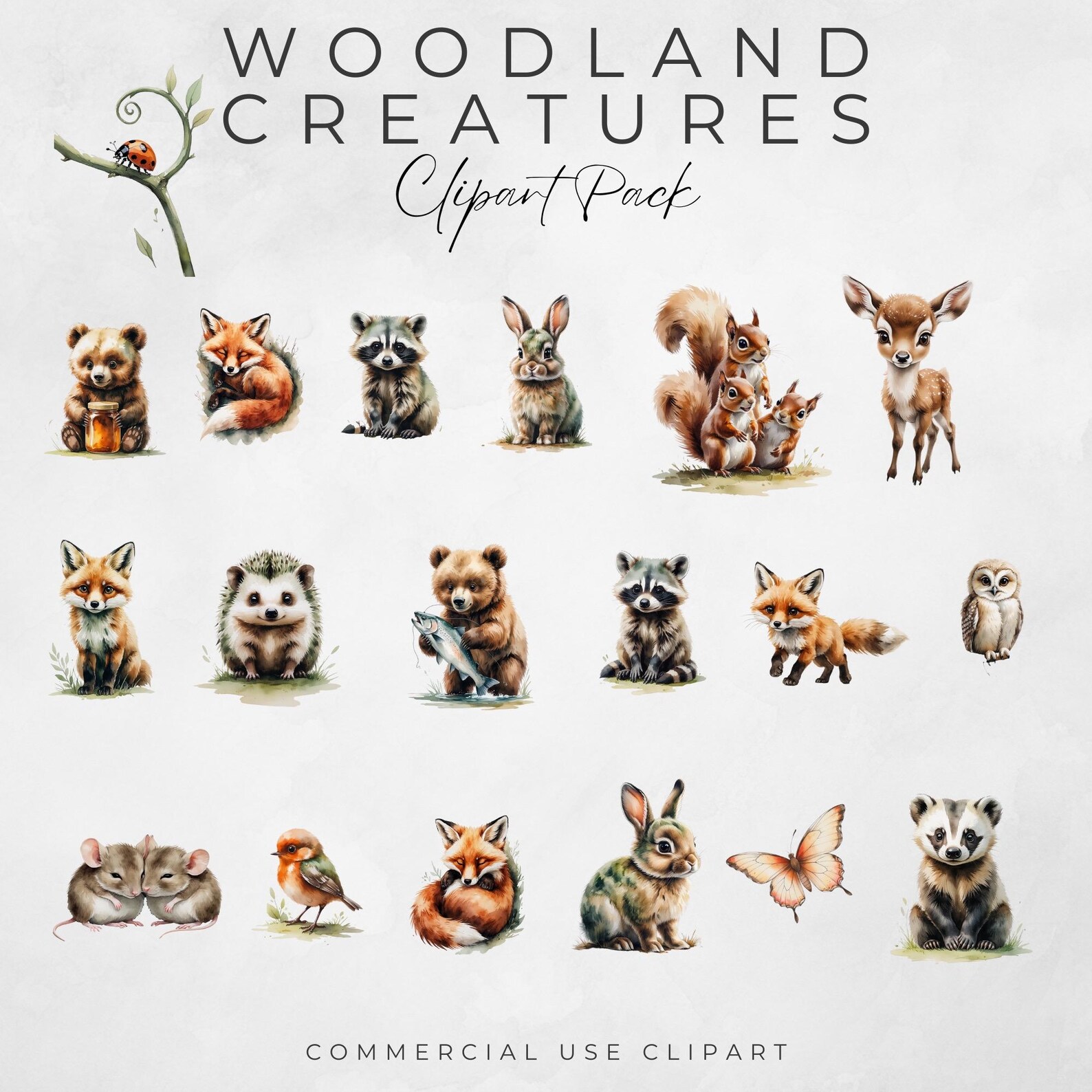 Woodland Creatures Clipart Watercolour, Clipart for Commercial Use ...
