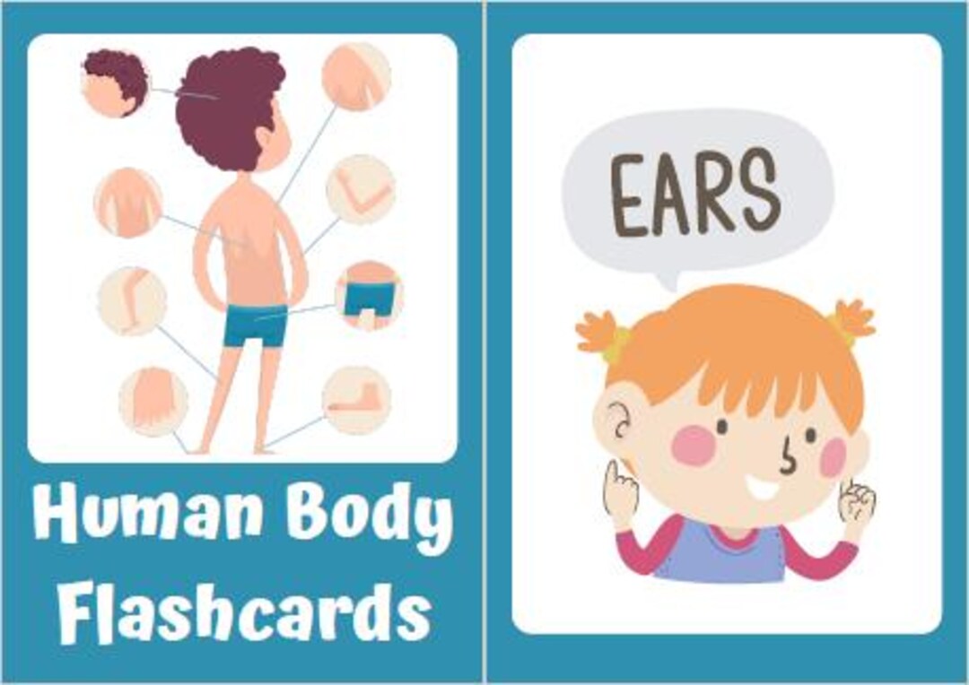 Human Body Flash Card, Learn Our Body, Teach and Play, Head and ...