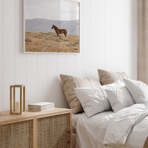 Hazel, Wild Horse Photograph, Brown Art, Animal in Landscape Print ...