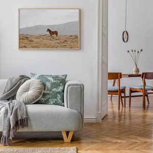 Hazel, Wild Horse Photograph, Brown Art, Animal in Landscape Print ...