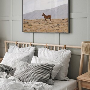 Hazel, Wild Horse Photograph, Brown Art, Animal in Landscape Print ...