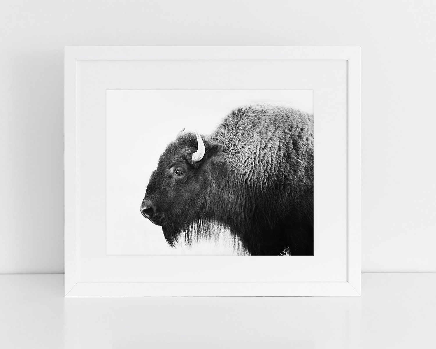 Buffalo Print, Bison Photograph in Black and White - Etsy