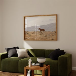 Hazel, Wild Horse Photograph, Brown Art, Animal in Landscape Print ...