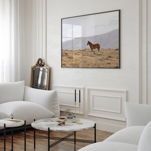 Hazel, Wild Horse Photograph, Brown Art, Animal in Landscape Print ...