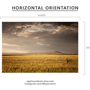 Golden Fields Western Photograph, Barley, Farm Wall Art - Etsy