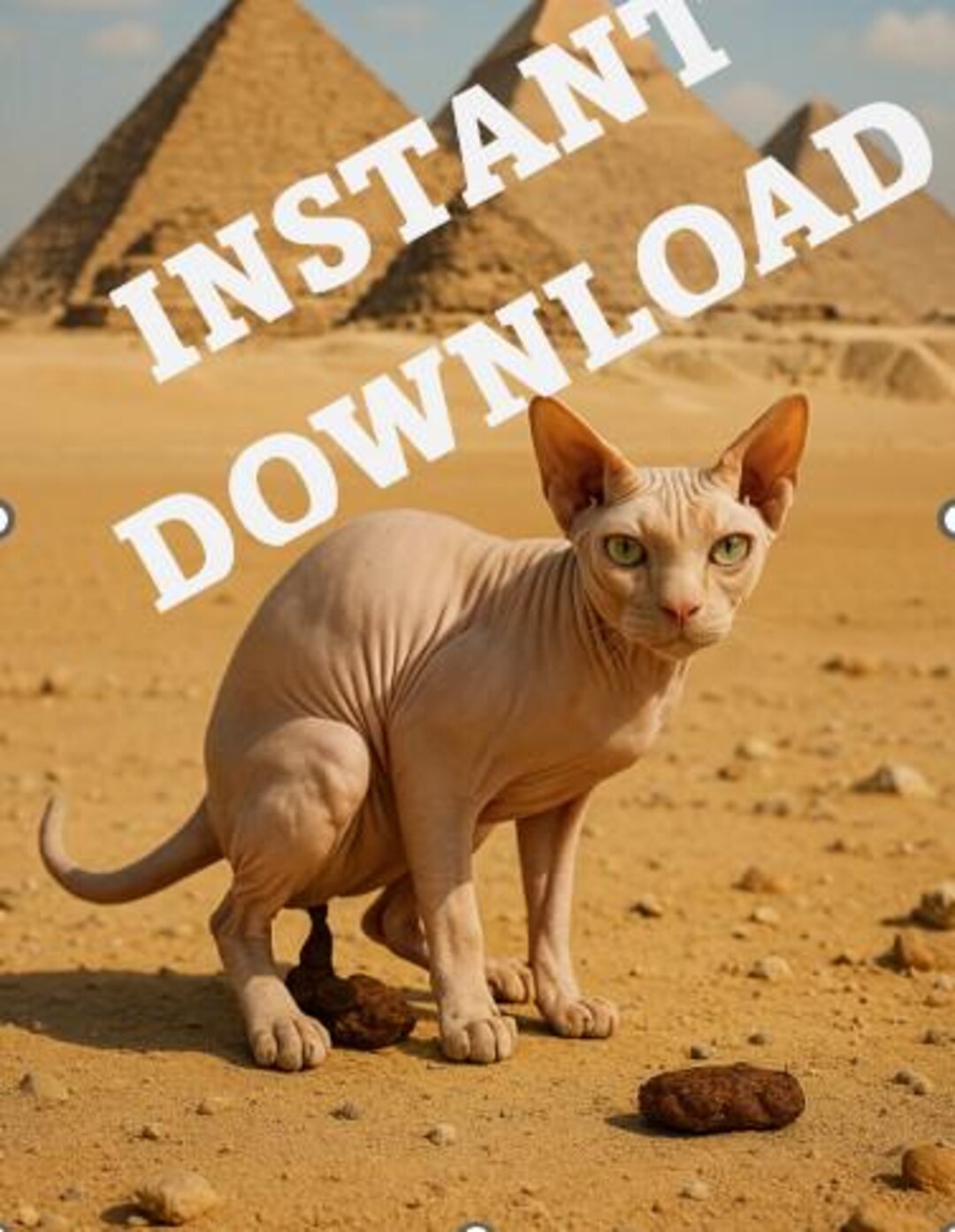 Sphynx Cat Pyramid Egypt Printable | Funny Cat Wall Art | Digital ...