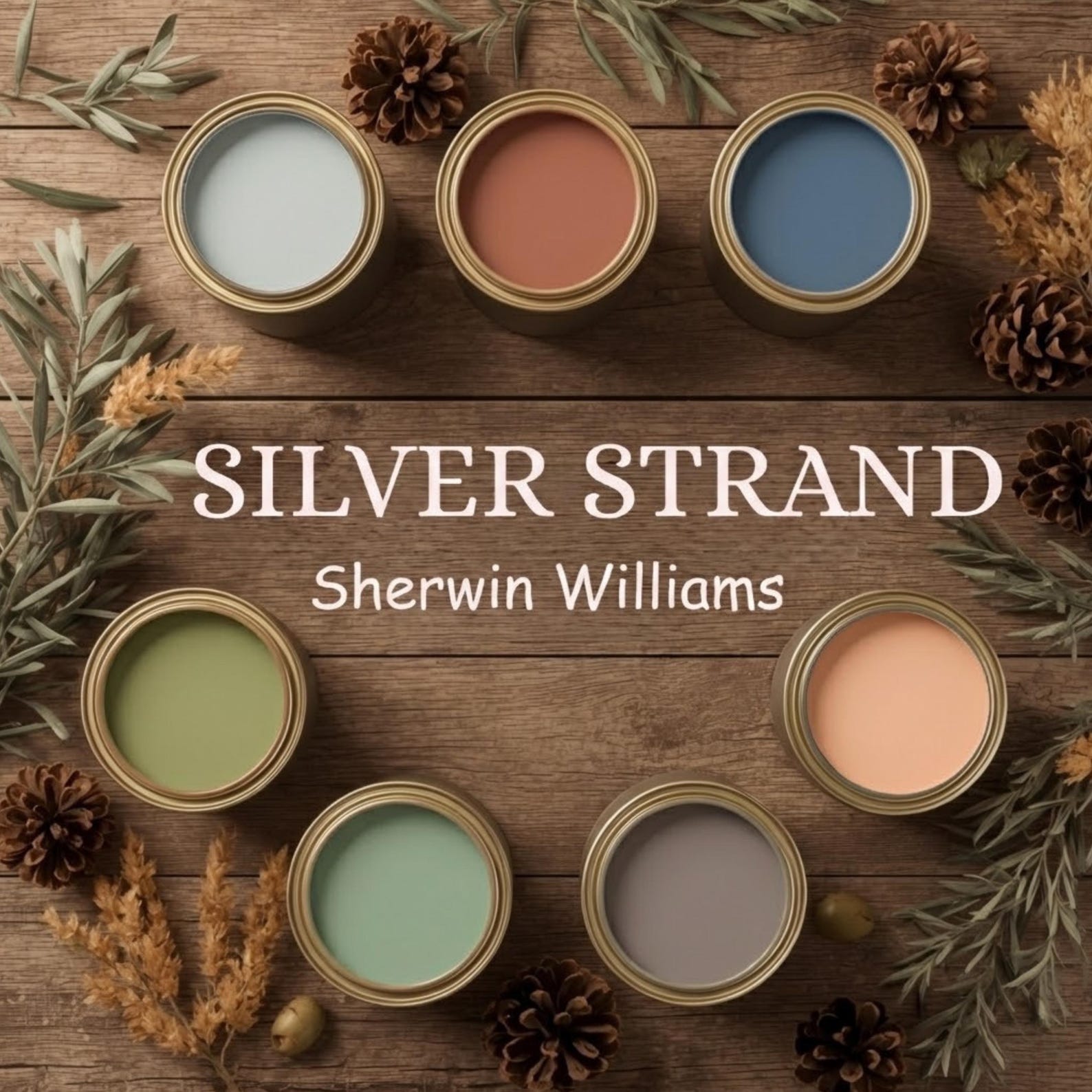 Sherwin Williams Silver Strand Paint Palette: Coastal Farmhouse Color ...