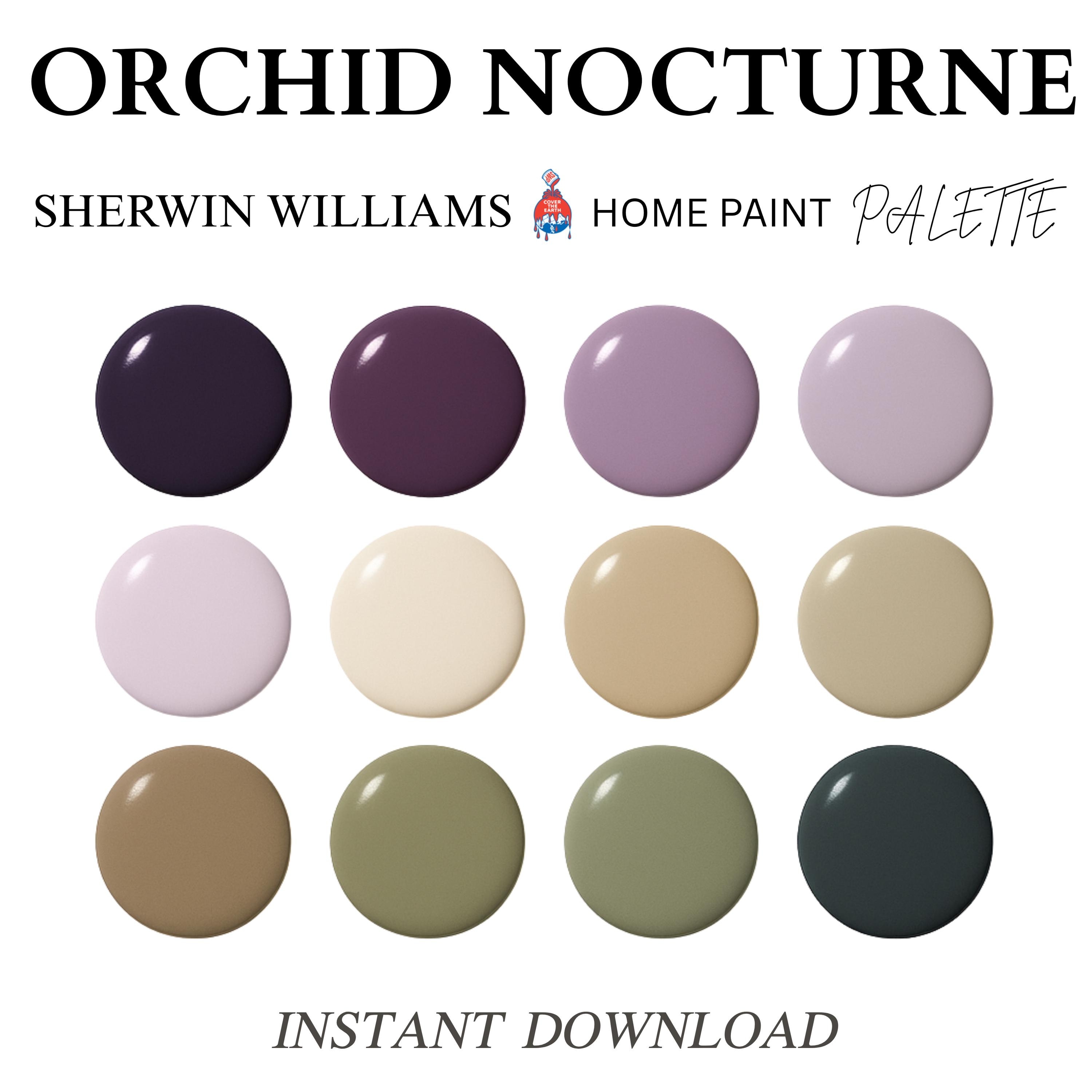 Orchid Nocturne Sherwin-williams Color Palette: Boho Interior (digital ...