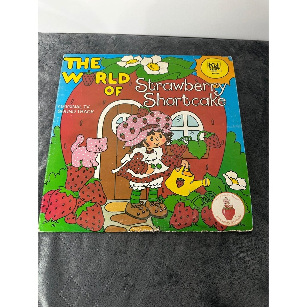 The World of Strawberry Shortcake - Vinyl LP 1980 Kid Stuff Records - Etsy