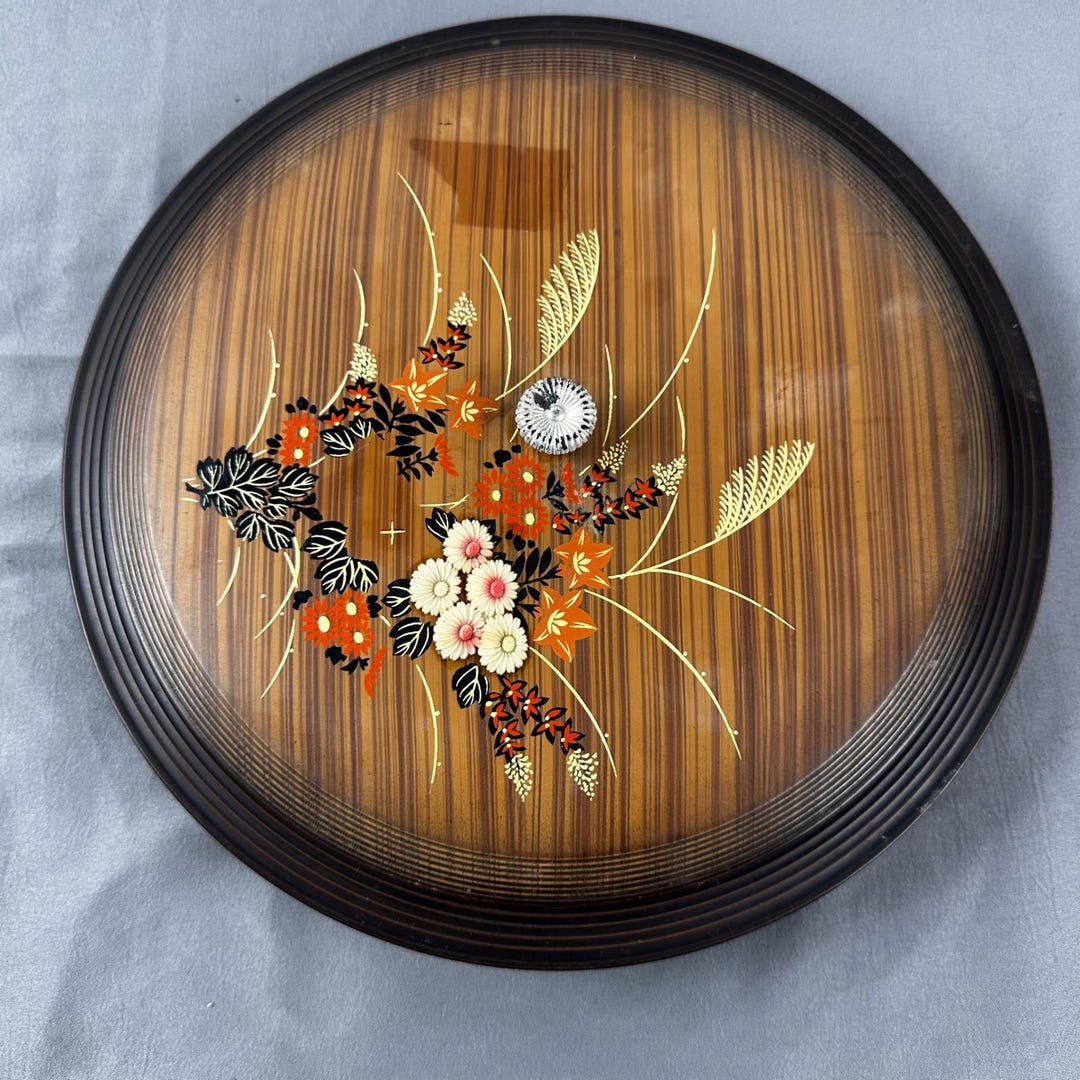 Midcentury OMC Japan Round Bento Box Sectioned Lidded Tray Insert - Etsy