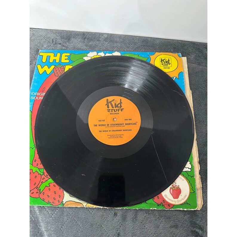 The World of Strawberry Shortcake - Vinyl LP 1980 Kid Stuff Records - Etsy