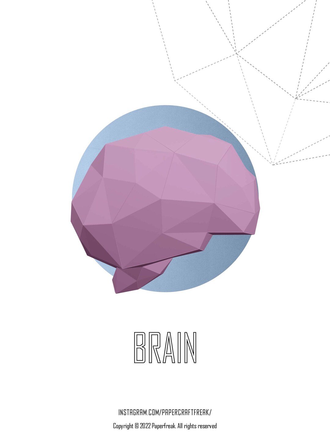 Papercraft 3D REAL ANATOMICAL BRAIN Pepakura Pdf Template Low Polygonal ...