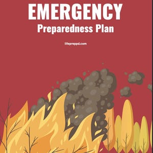 Emergency Preparedness Plan Checklist - Etsy