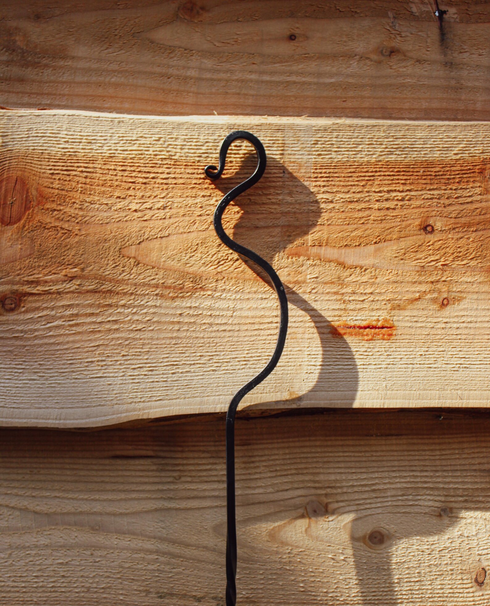 Set of 5 | Hand-forged Plant Stakes | Metal Trellis | Metal Garden ...