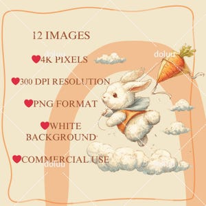 12 Bunny Flying Carrot Shaped Kite Cloud Puffs Clipart Bundle, Junk ...