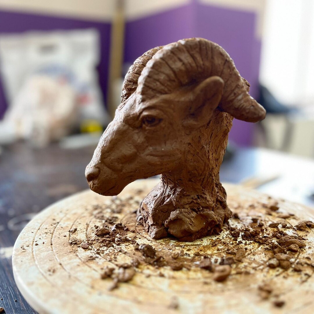 Handmade Ram Head Sculpture – Clay Modeled, Polyester Coated, Stone ...