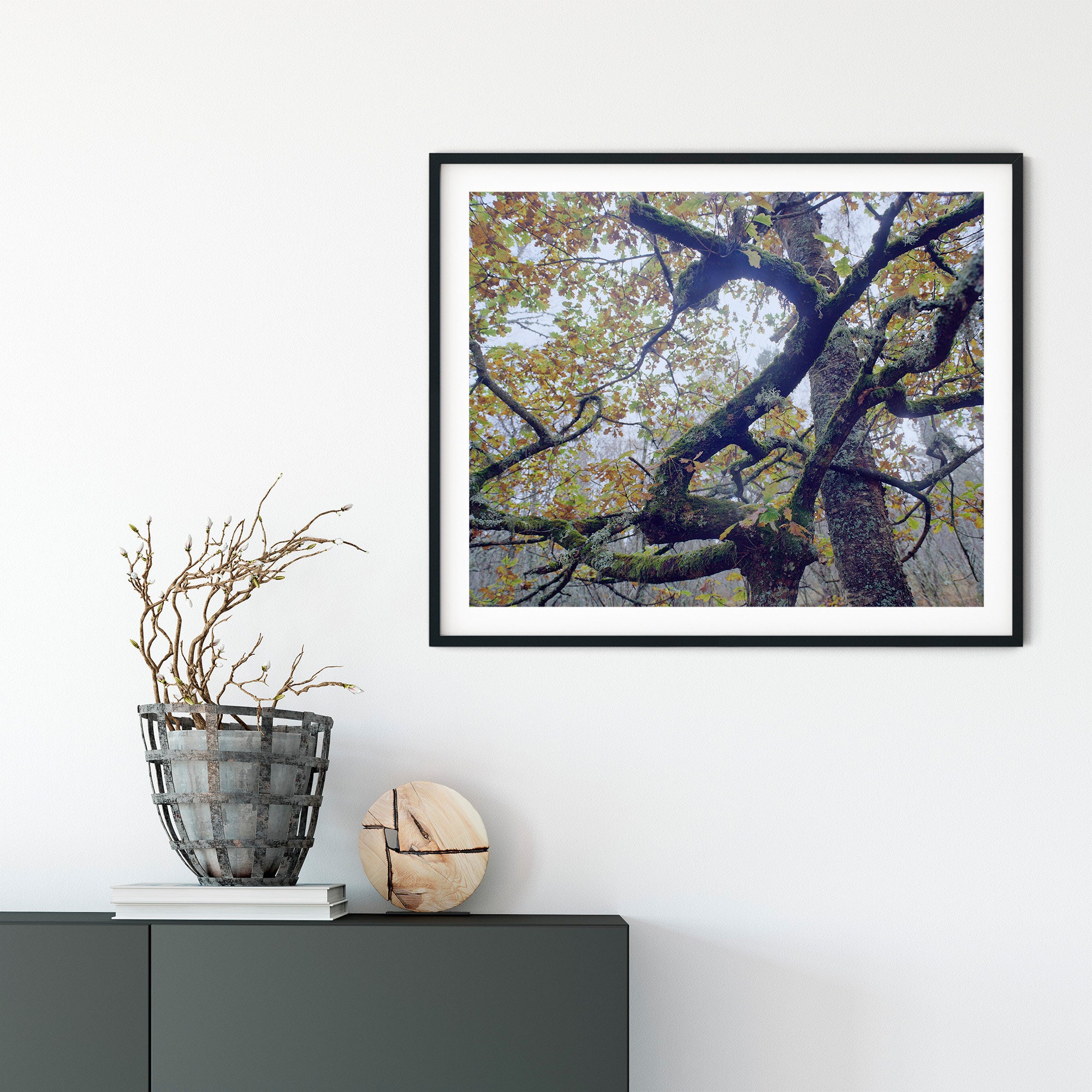 Scottish Autumn Tree Print, Large Forest Stretched Canvas, Framed ...