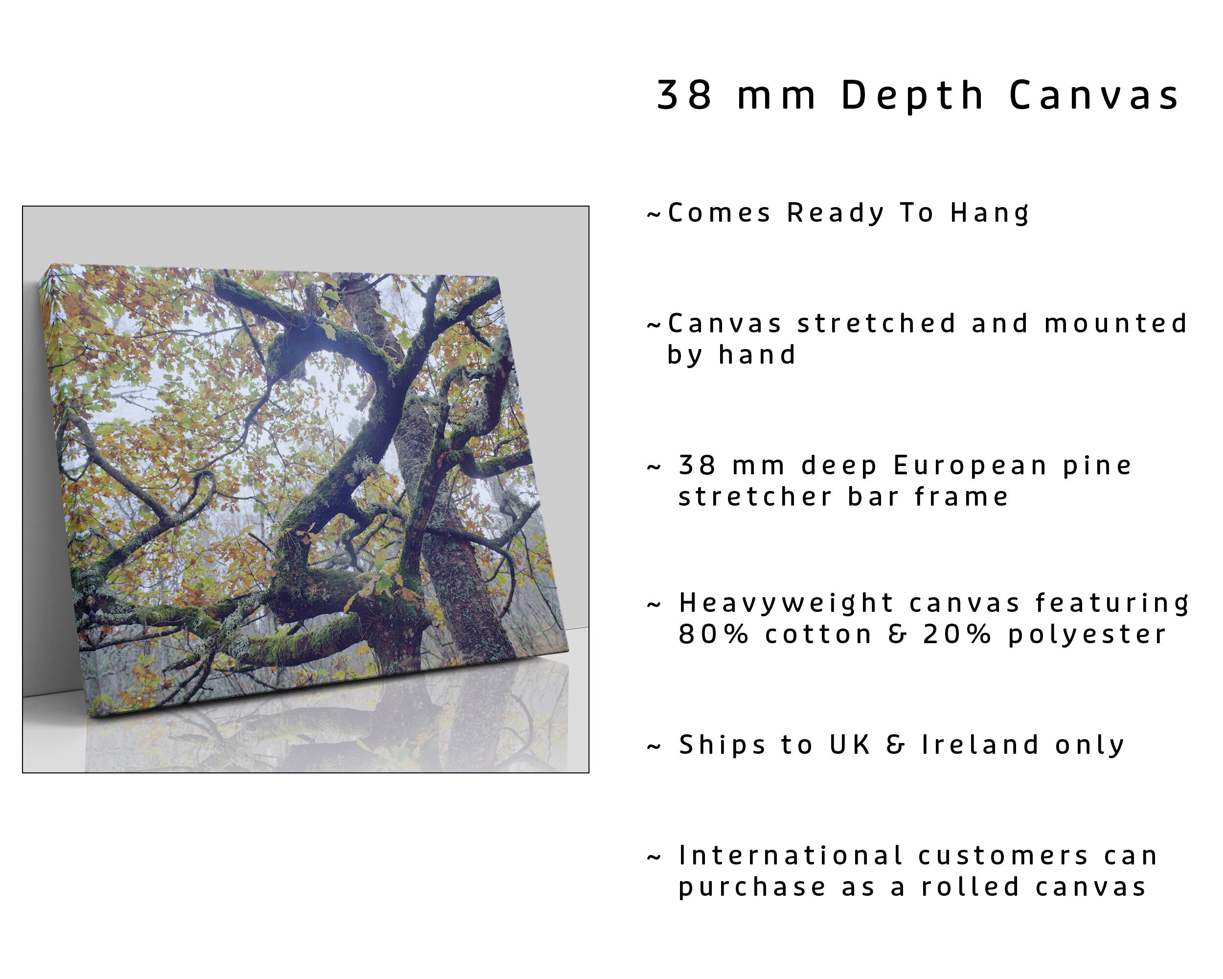 Scottish Autumn Tree Print, Large Forest Stretched Canvas, Framed ...